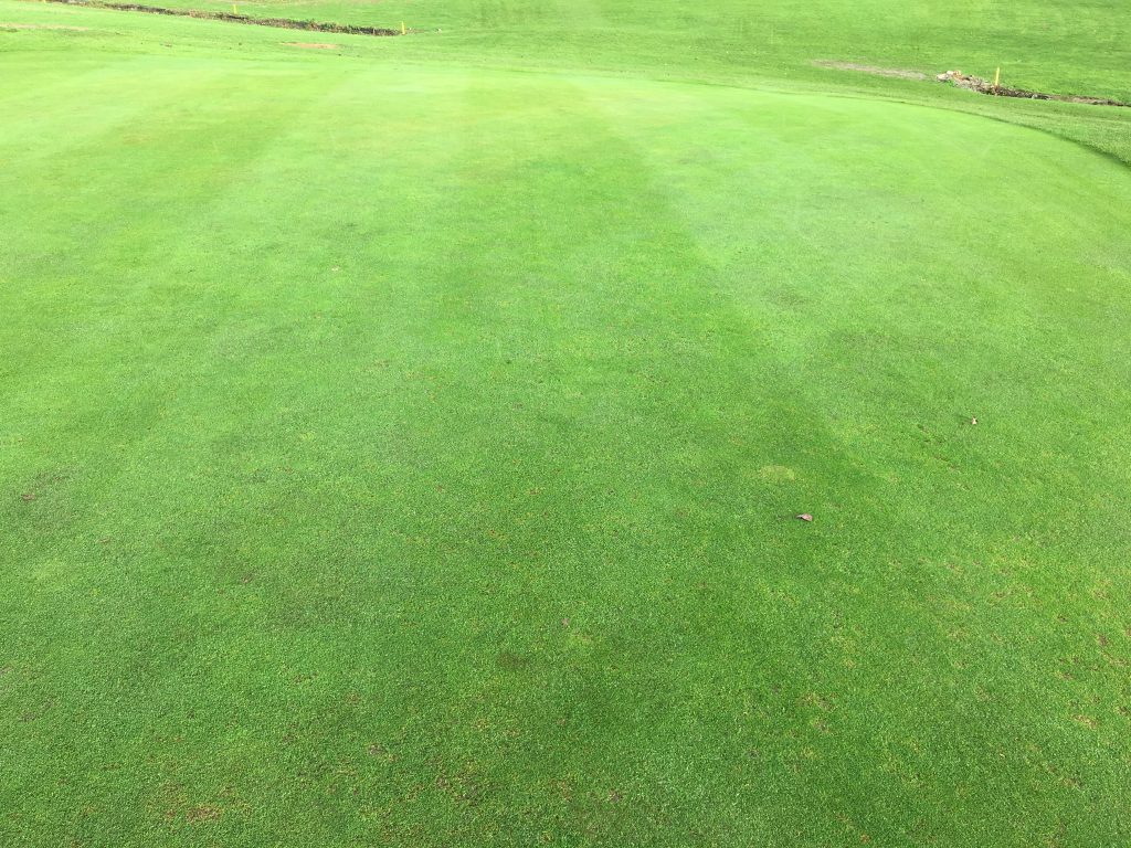 How to achieve putting surface consistency – GreenKeeping Magazine