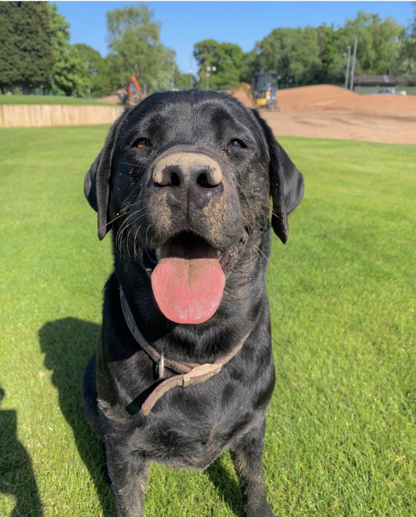 How this greenkeeper is inspiring other women to join the profession ...