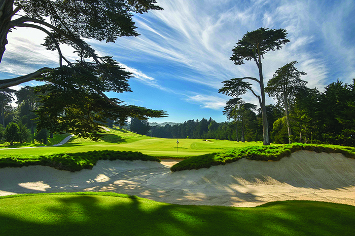 Prepare your turf for summer with a biological integrated turf ...