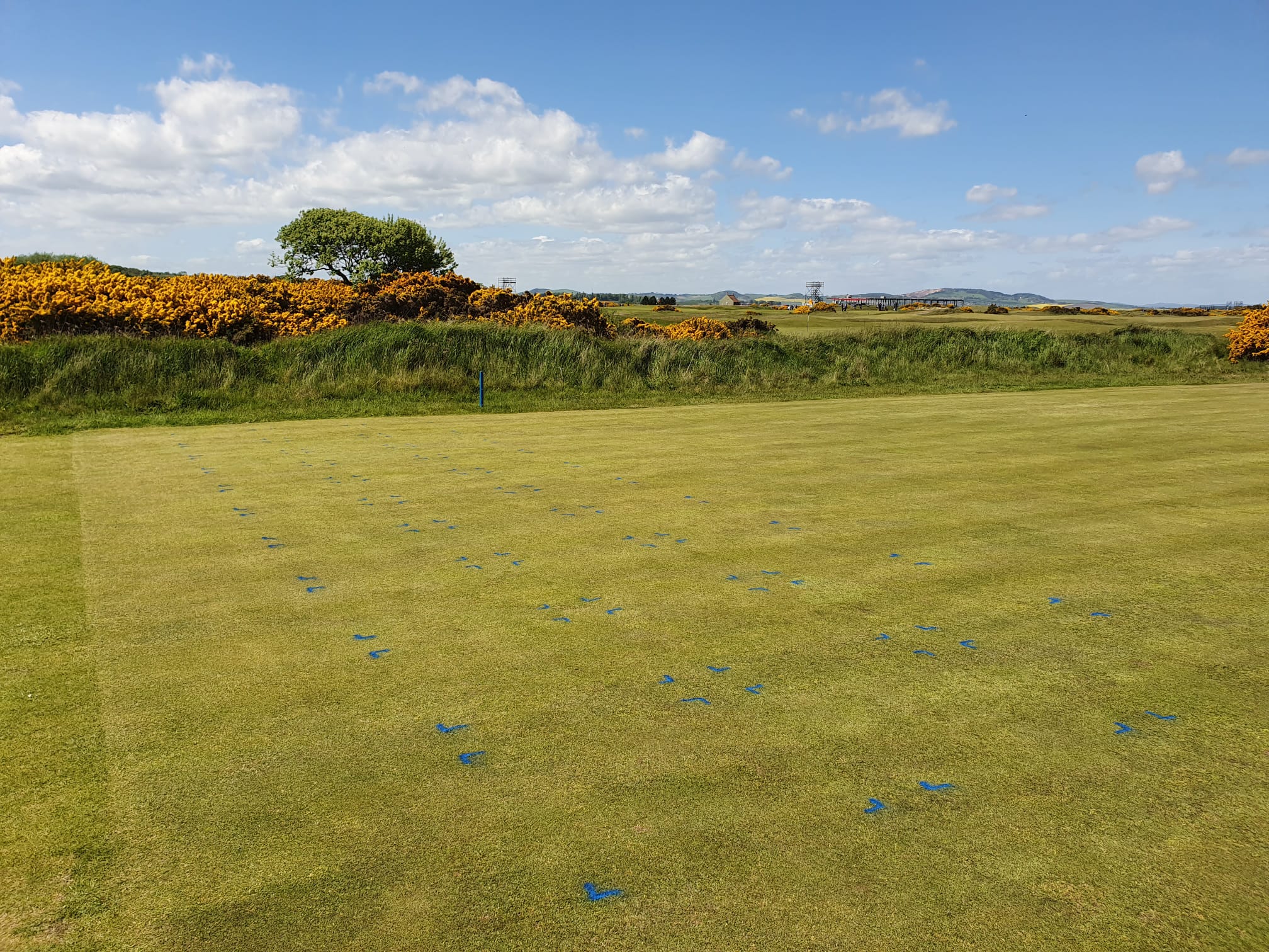 Mixing Vitalnova SMX with TriSmart ‘significantly enhanced turf quality ...